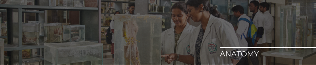 Anatomy Department – Medical College Shridevi